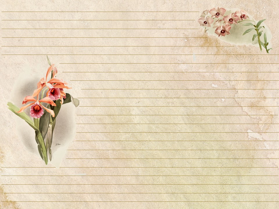 Pretty Paper Design Set – 02-Love – Just BeCause Creations